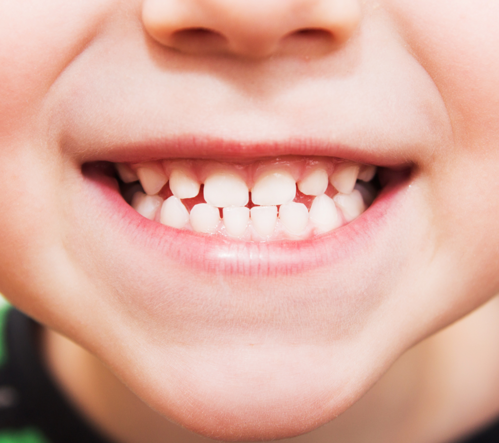 What We Can Learn From Your Child’s Teeth | Family Chatterbox